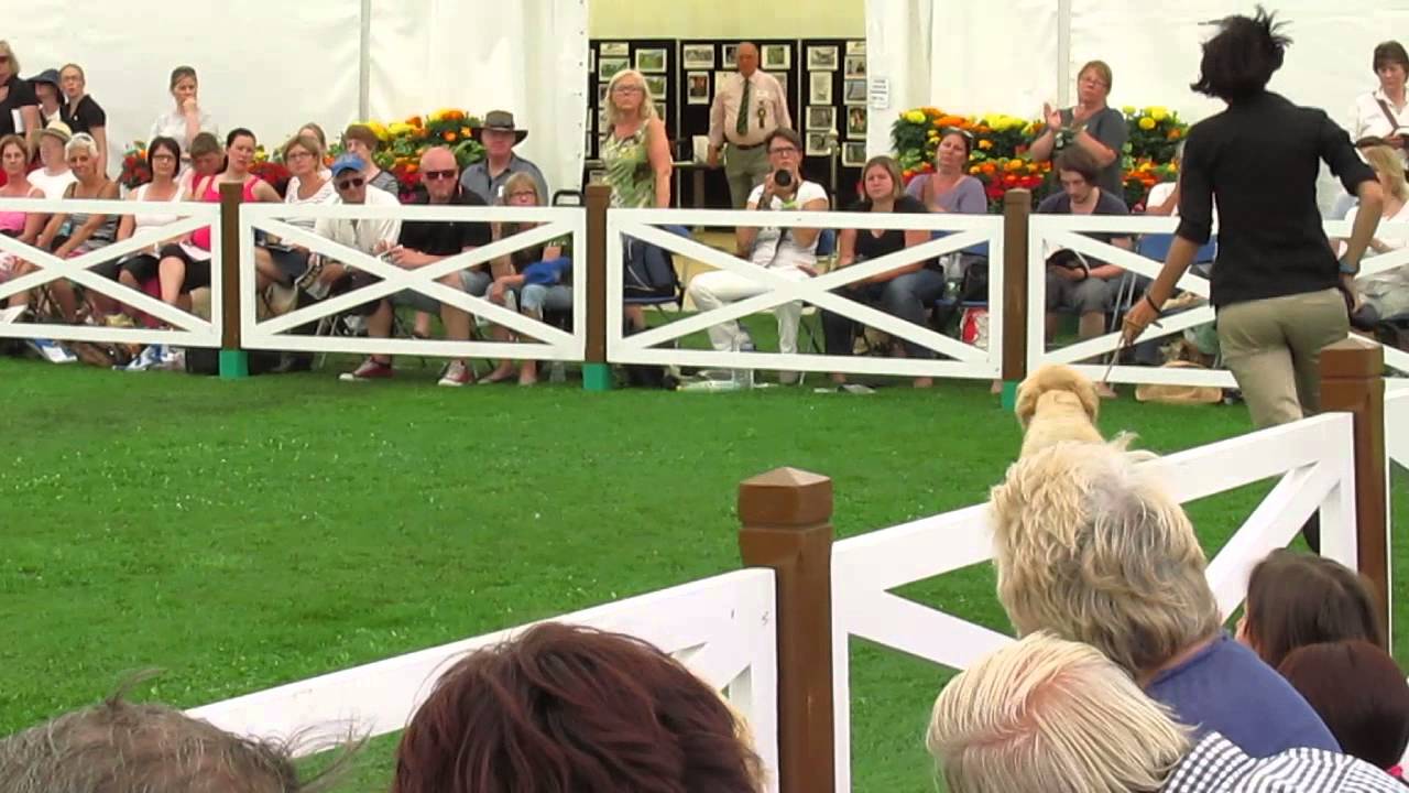 Race The Sun de Ria Vela - YouTube