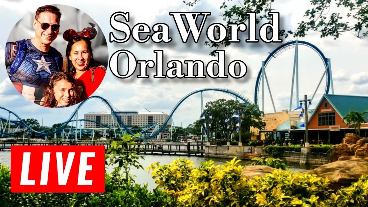 🔴LIVE🔴 from SeaWorld Orlando - YouTube