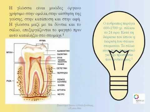 Εκπαιδευτική εκδήλωση: Στοματική υγιεινή για παιδιά - YouTube