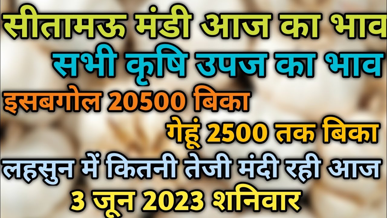 सीतामऊ मंडी सभी कृषि उपज का भाव लहसुन का भाव / 3 जून 2023 शनिवार ...