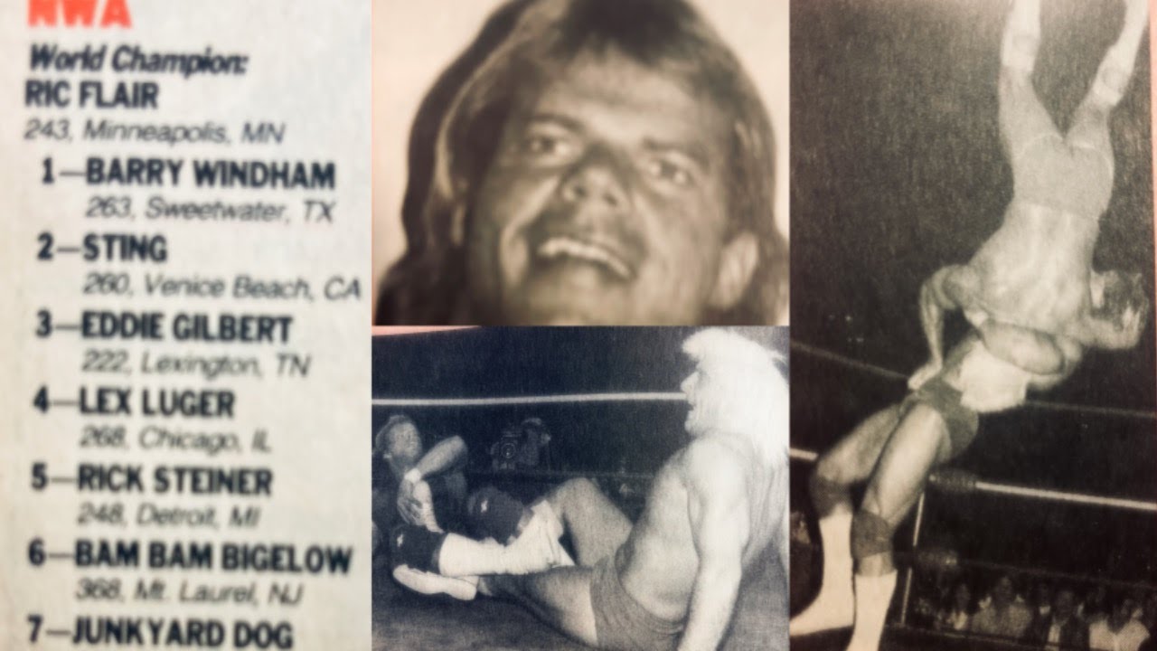 The Contenders To The NWA Title. May 1989 Pro Wrestling Illustrated NWA ...