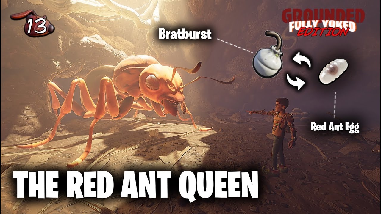 The Red Ant Queen, Rotten Bee Armor, Eggs and MORE! | Grounded Fully ...