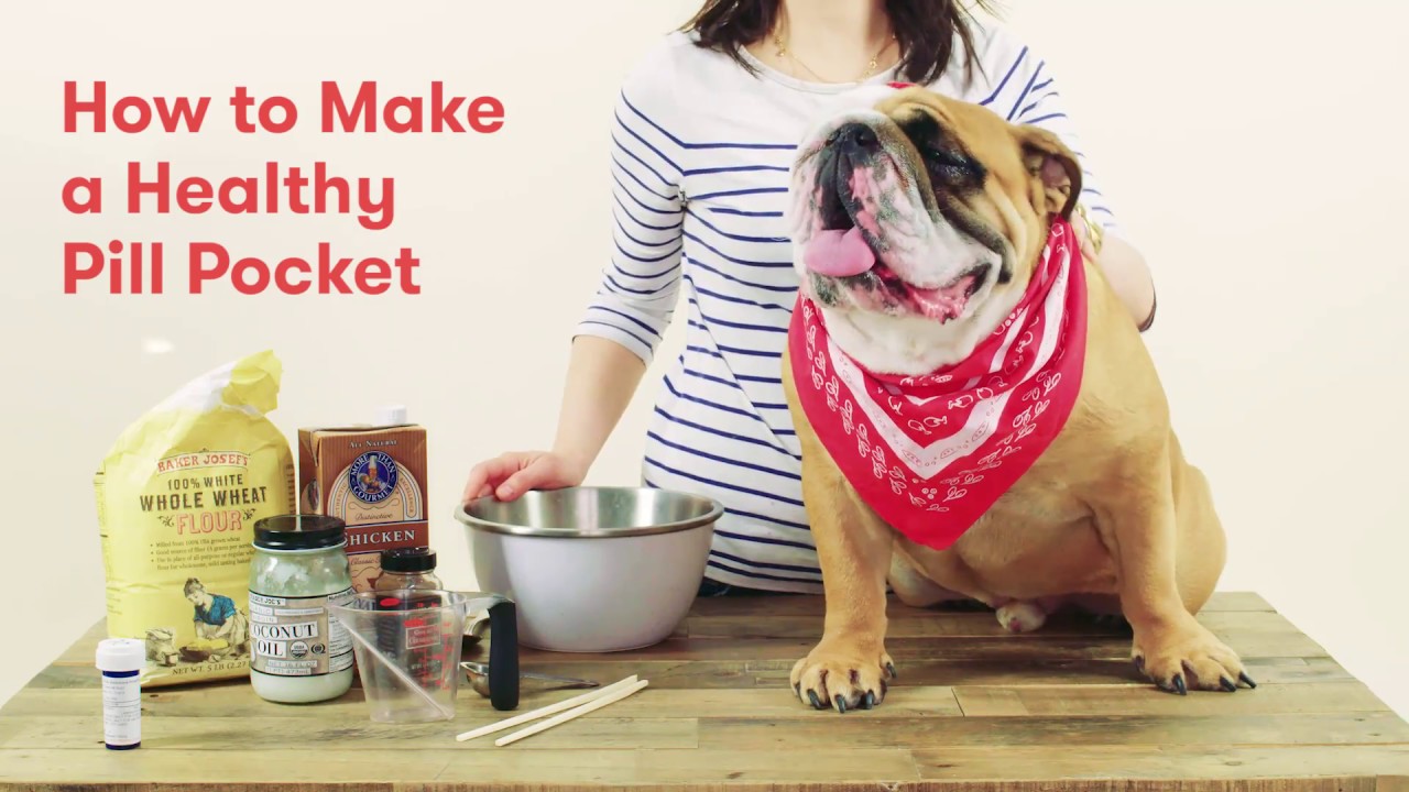 Ollie Knows: How To Make A Healthy Pill Pocket - YouTube