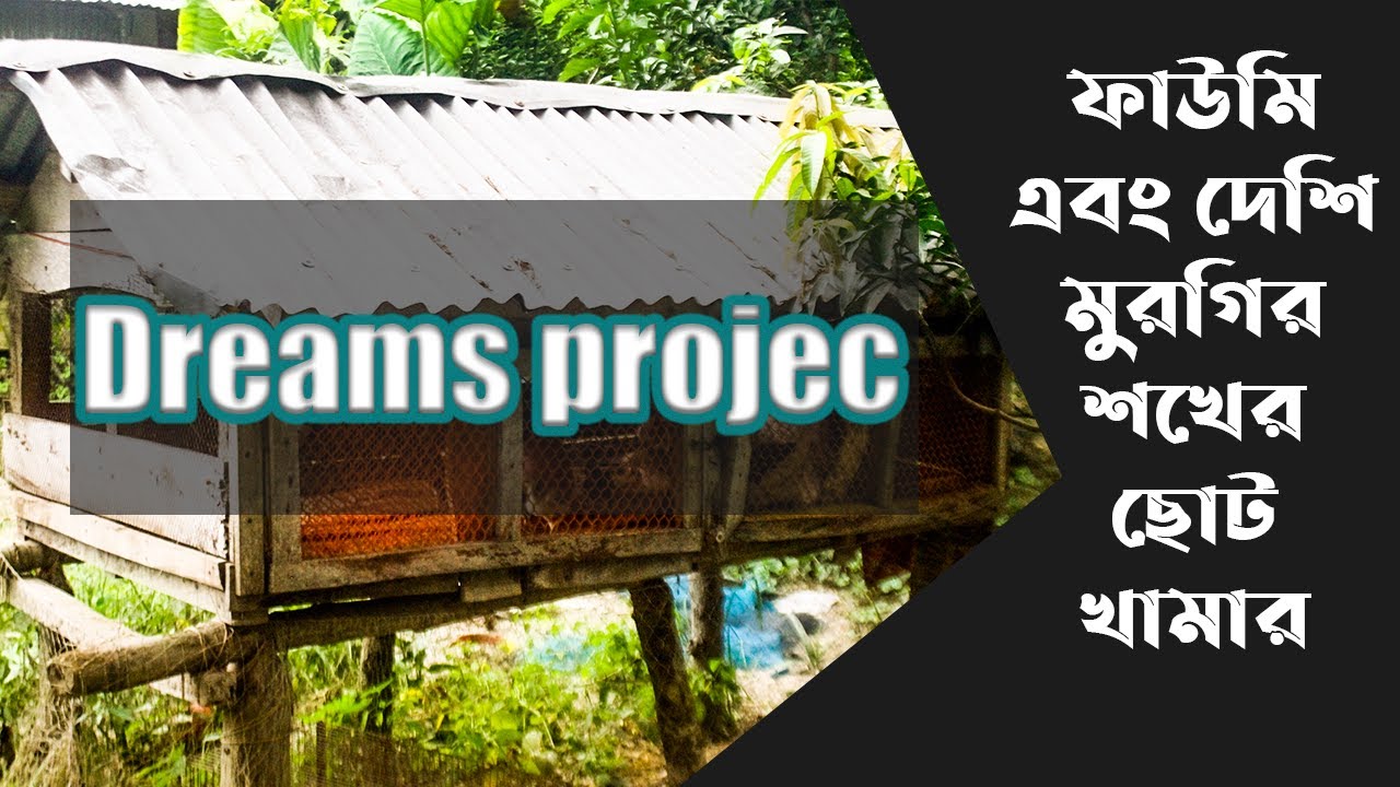 ফাউমি এবং দেশি মুরগির শখের খামার #dreams_agro_farm - YouTube