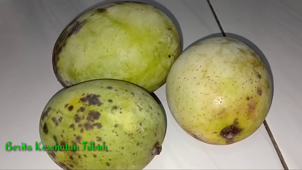 Terungkap!! Berbagi 7 Manfaat Buah Mangga Bacang |Kweni bagi Kesehatan ...