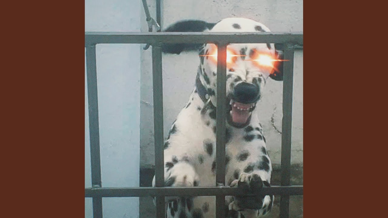 Trigger Happy - YouTube