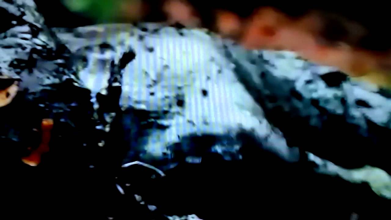 Apocalypto Movie Clip - YouTube