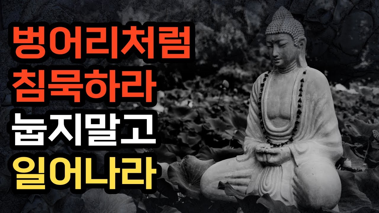 침묵하고 냉정하게 살아라 I 석가모니 명언 I 인간관계 처세술 I 인생 조언 I 격언 I 오디오북 I 철학 Youtube