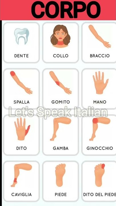 Learn italian //Body parts name in italian // #corpo // #shorts - YouTube
