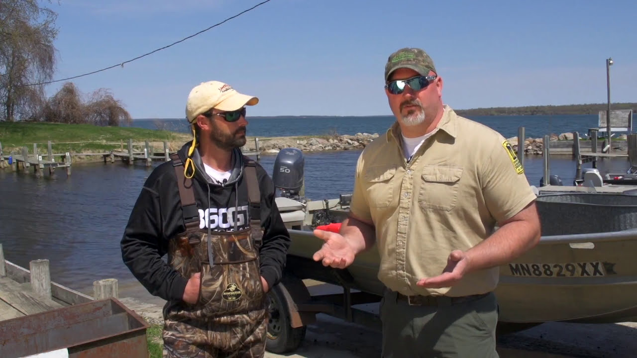 Musky Spawning & Stocking in Minnesota (Explained) - YouTube