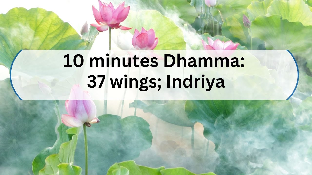 10 minute Dhamma: 37 Wings; Indriya - YouTube