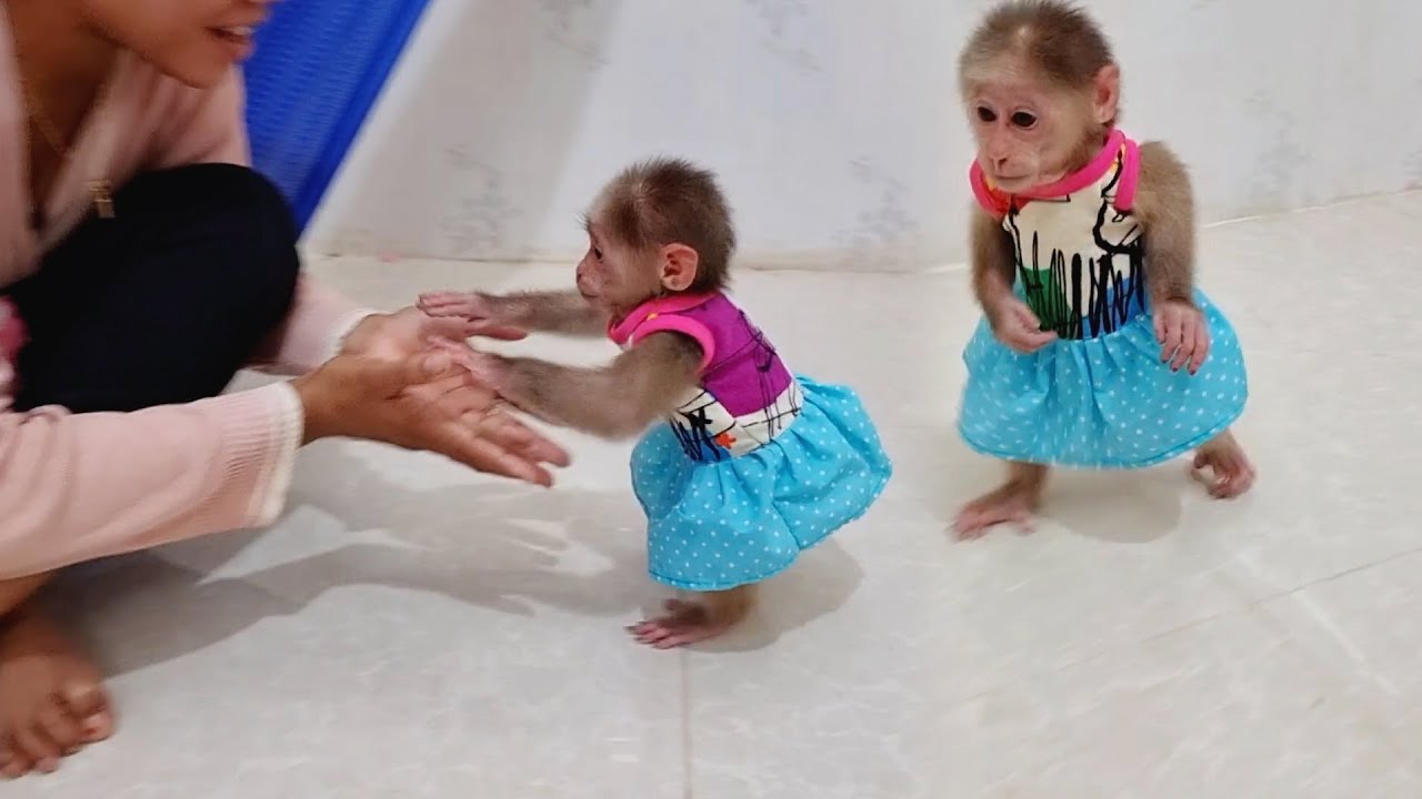 Loved Overload BeeBoy Speed Up Run To Hug Mom Show His Sincerely to Mom ...