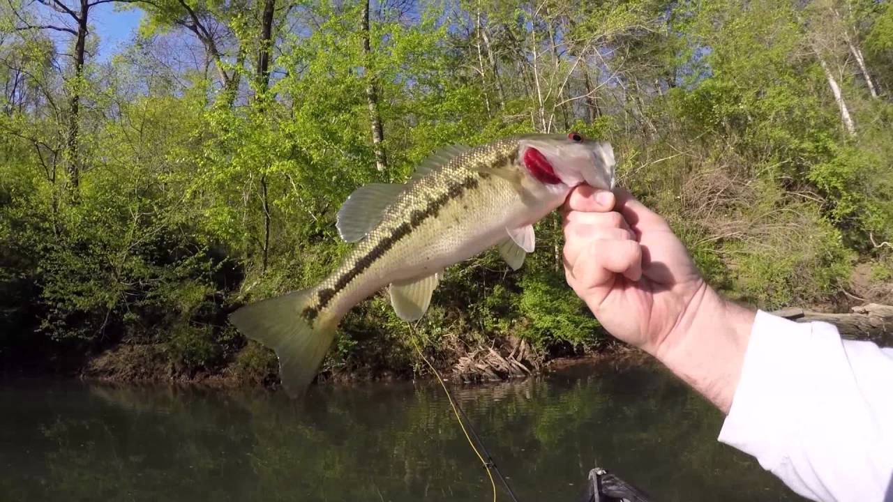 Cahaba River ~ 4-9-16 - YouTube