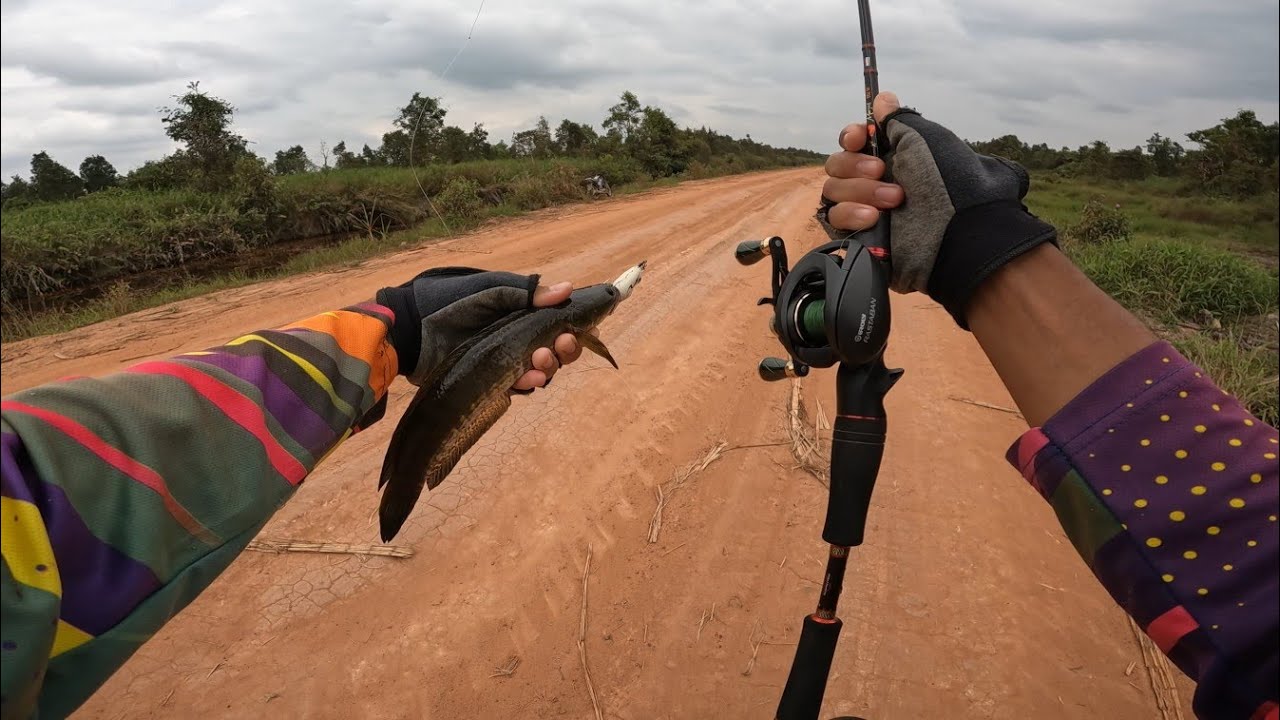 Masih dalam misi amiskan Iroly Rastaban terbaru ‼️ IROLY RASTABAN - YouTube