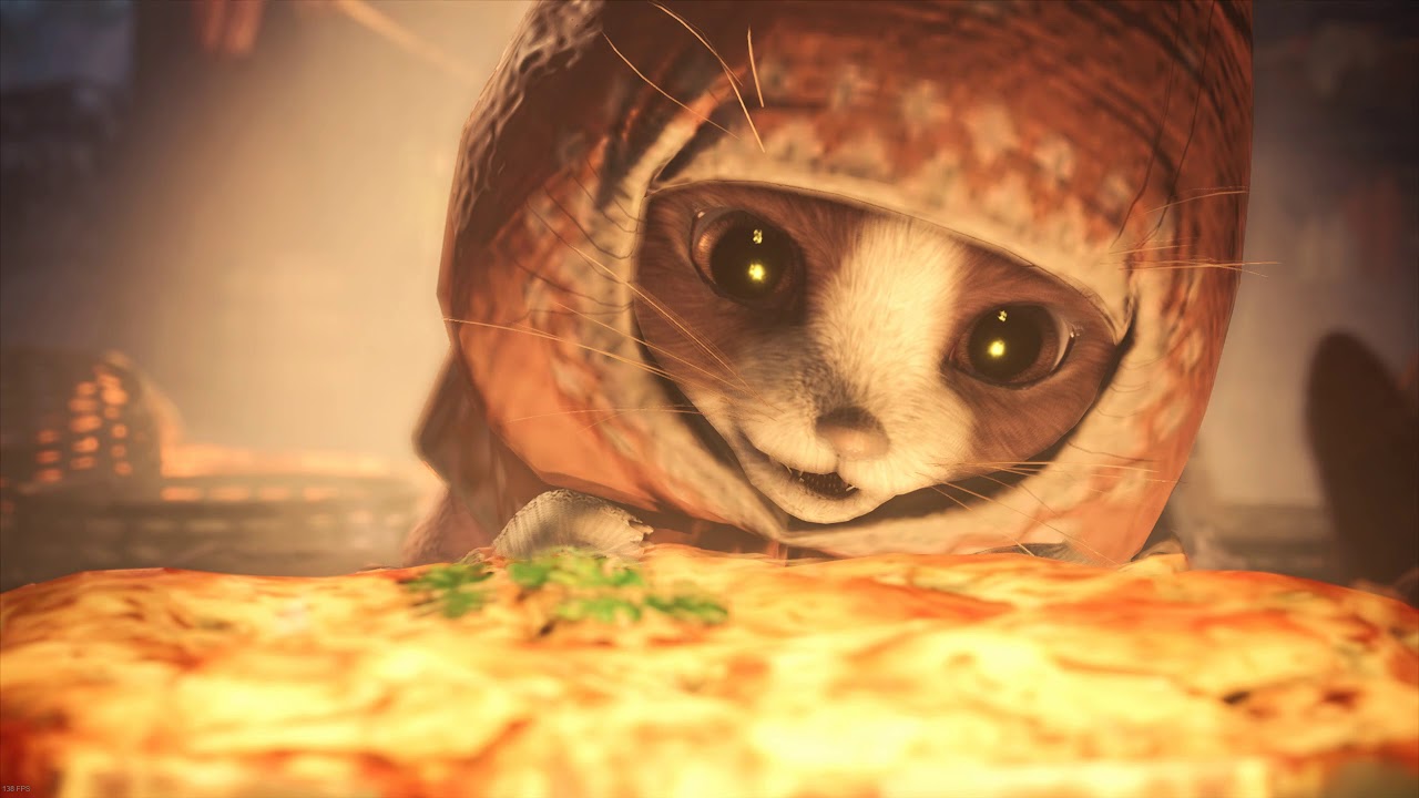 Poogie and cat - YouTube