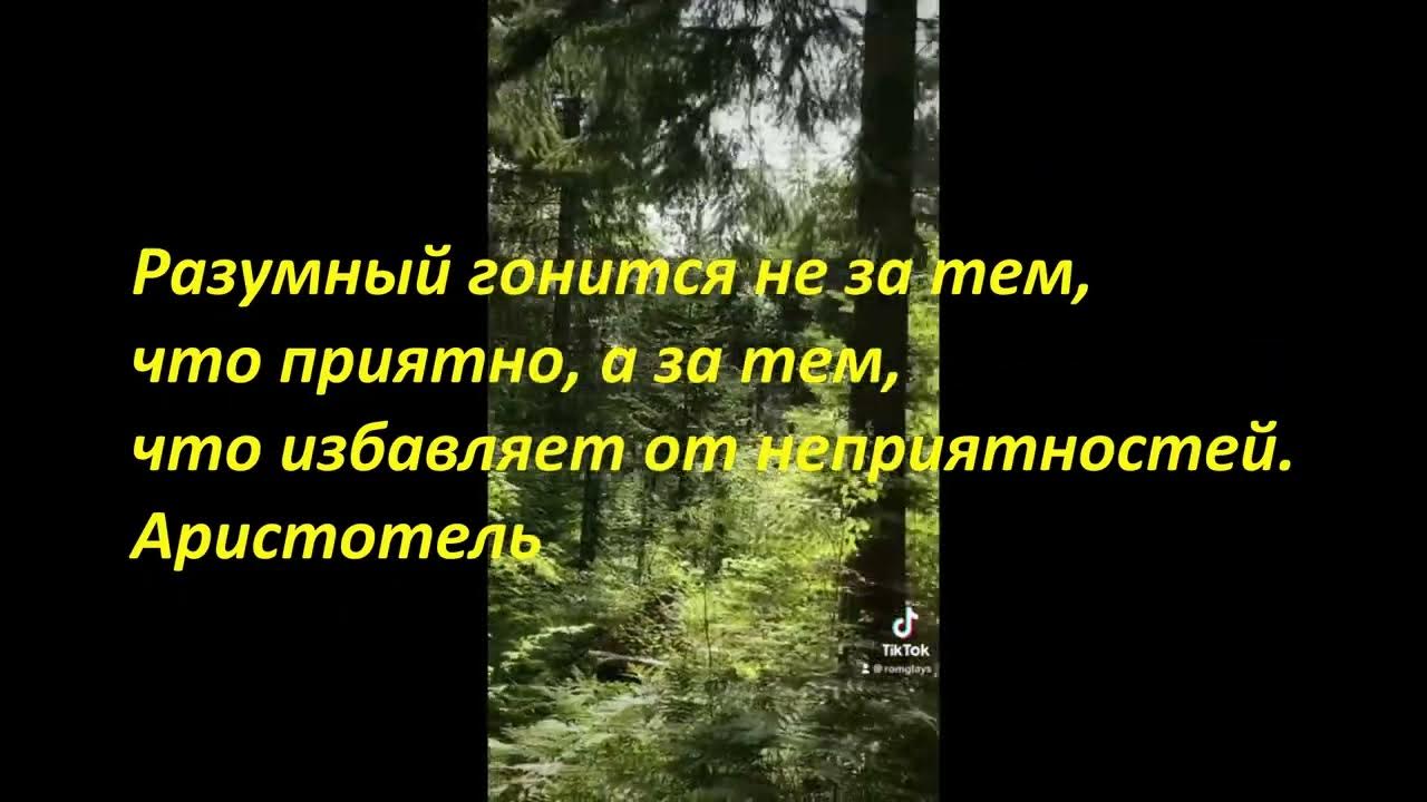 Афоризмы великих людей - YouTube