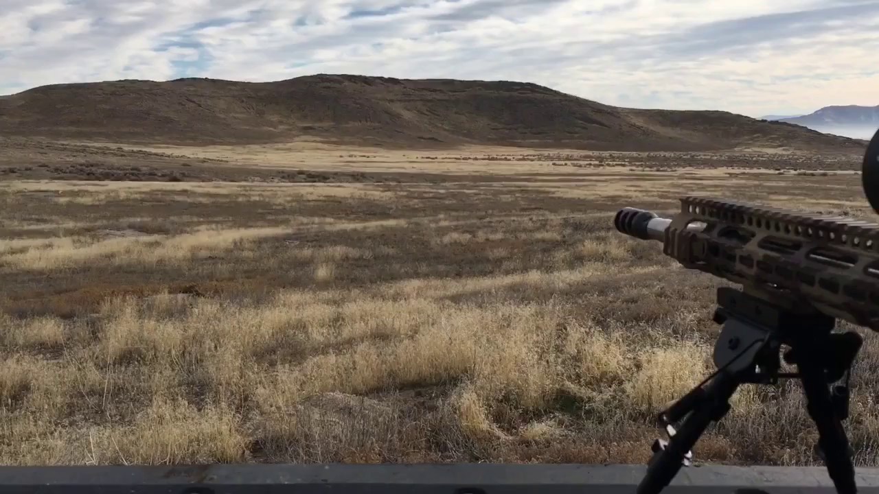 Palmetto AR-15 800 yards! Hornady 68 Gr. BTHP - YouTube