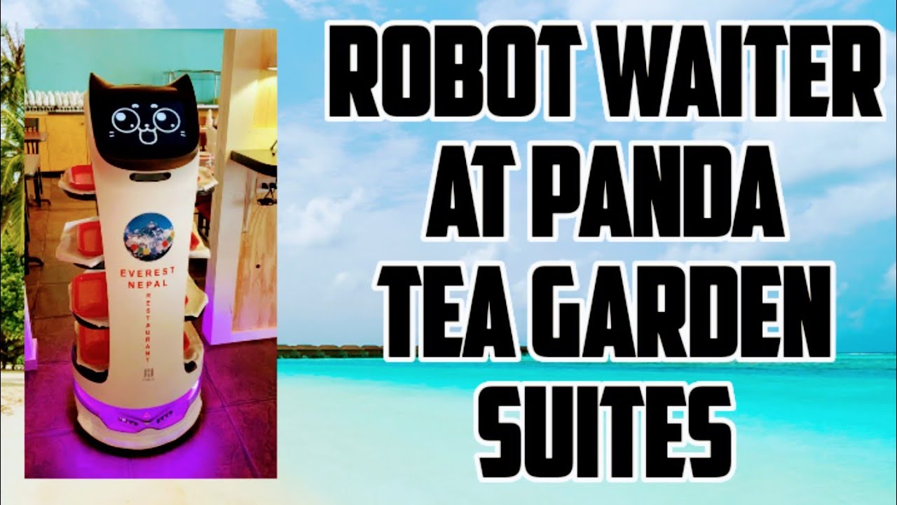 ROBOT WAITER AT PANDA TEA GARDEN SUITES - YouTube