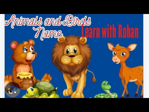 Learan Animals and Birds name with Rohan, ||| animals name and sound ...
