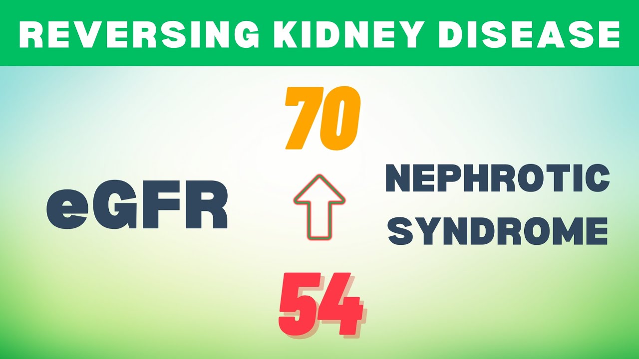 eGFR From 54 To 70: How Iain improved his eGFR with Nephrotic Syndrome ...