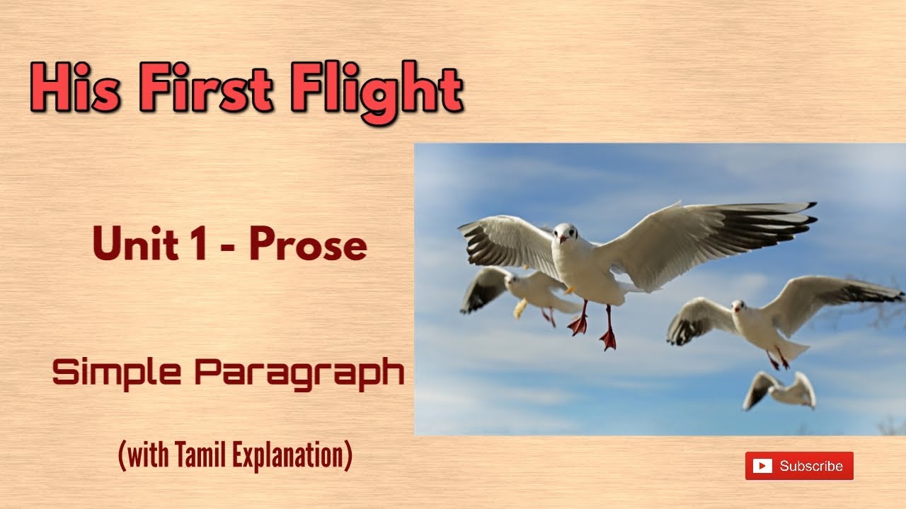 Class 10/English/Unit 1- His First Flight/Prose/Simple Paragraph with ...
