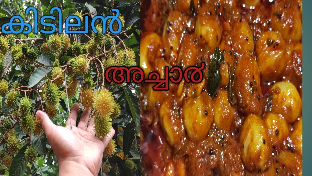 Rambutan Pickle/Kerala style recipe#howtomake - YouTube