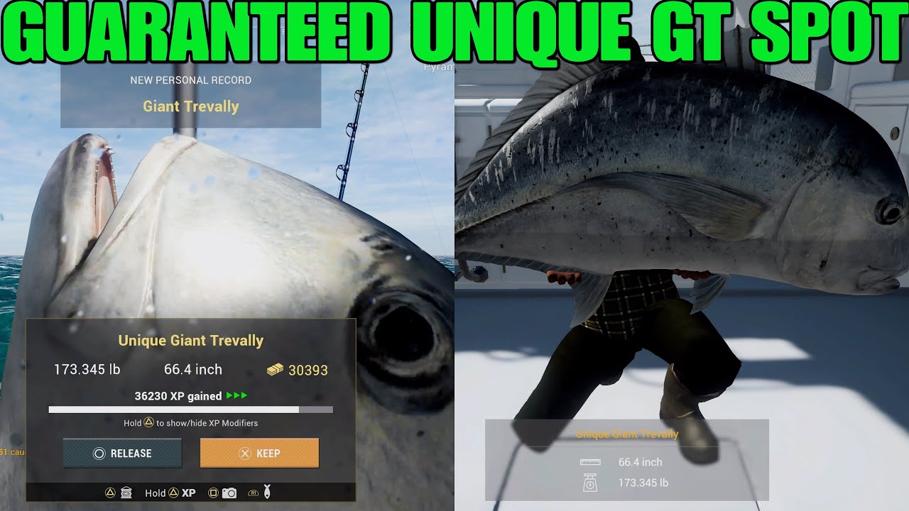 Guaranteed Unique Giant Trivaly Hotspot Guide - Kaiji No Ri - Fishing ...