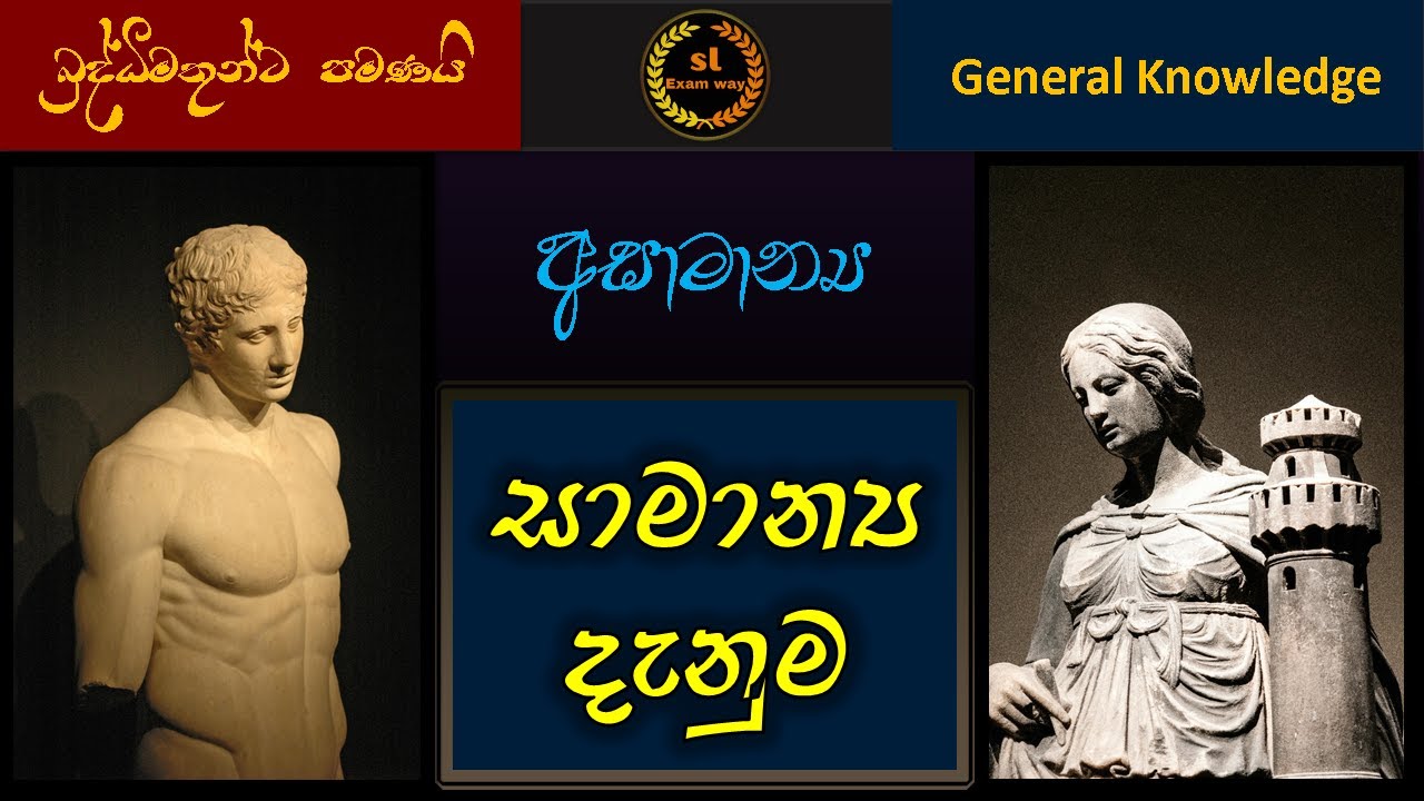 wishwa danuma | sinhala | 🧠 | danuma wardanaya | #danuma | New - YouTube