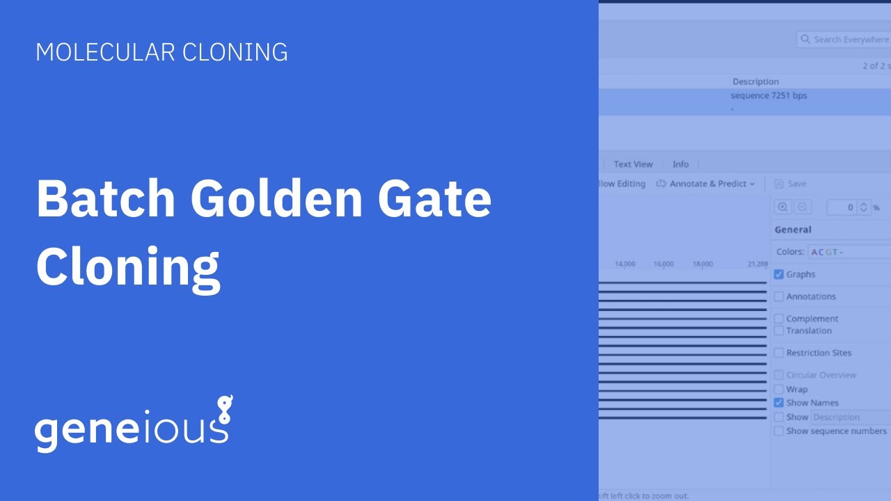 Batch Golden Gate Cloning in Geneious Prime: Clone from a Sequence List ...