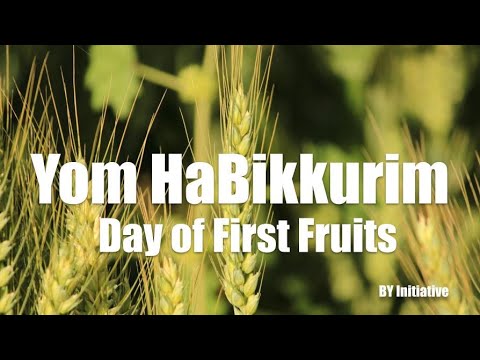 Mo'edim | Yom HaBikkurim | Day of First Fruits - YouTube