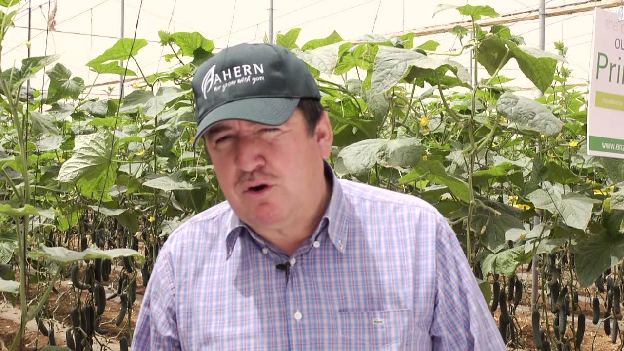 Experto Agrícola, Arnulfo Silva Martínez, Agricultura Colonet y su ...