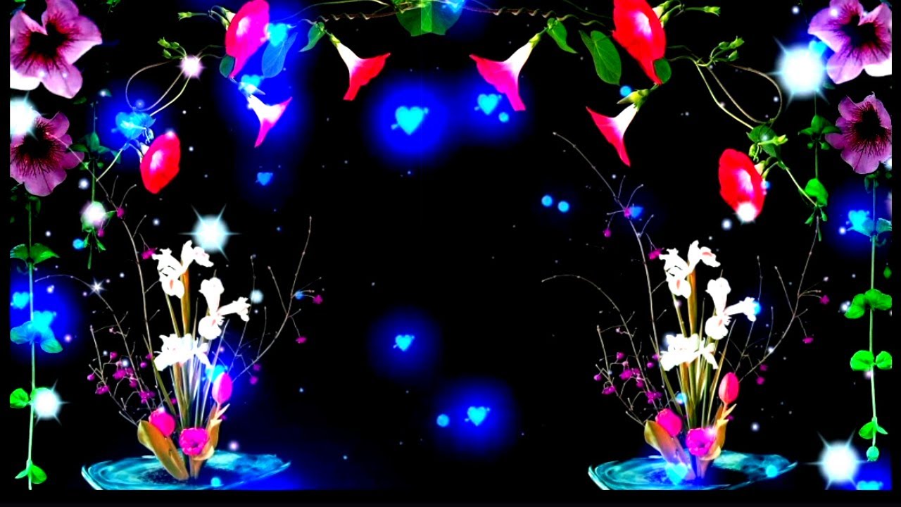 Flowers effect background full screen Hd/black screen/love status ...