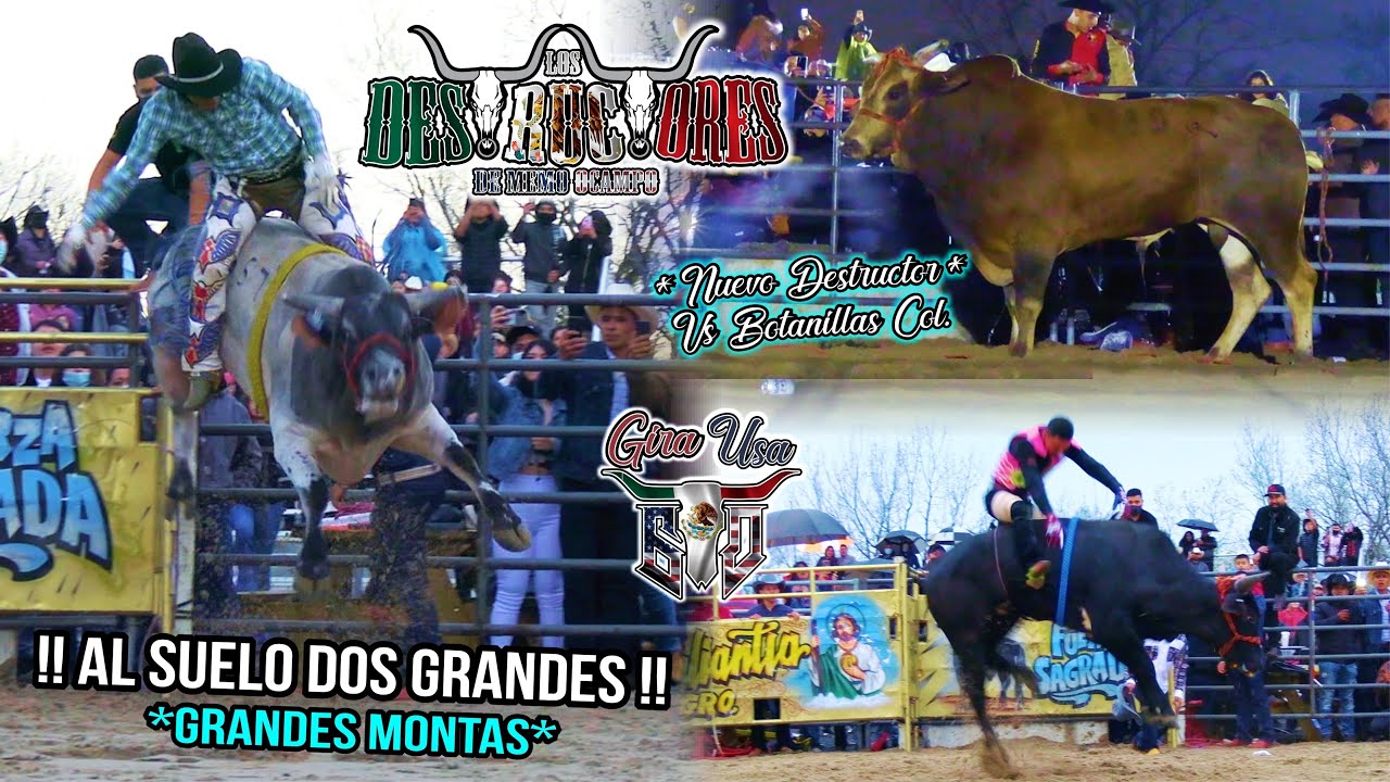 Al SUELO Dos GRANDES | Nuevo DESTRUCTOR | Grandes MONTAS | Los ...