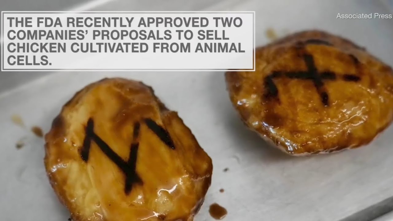 WEF Bill Gates Lab Grown "Meat" Coming to a Table Near You - YouTube