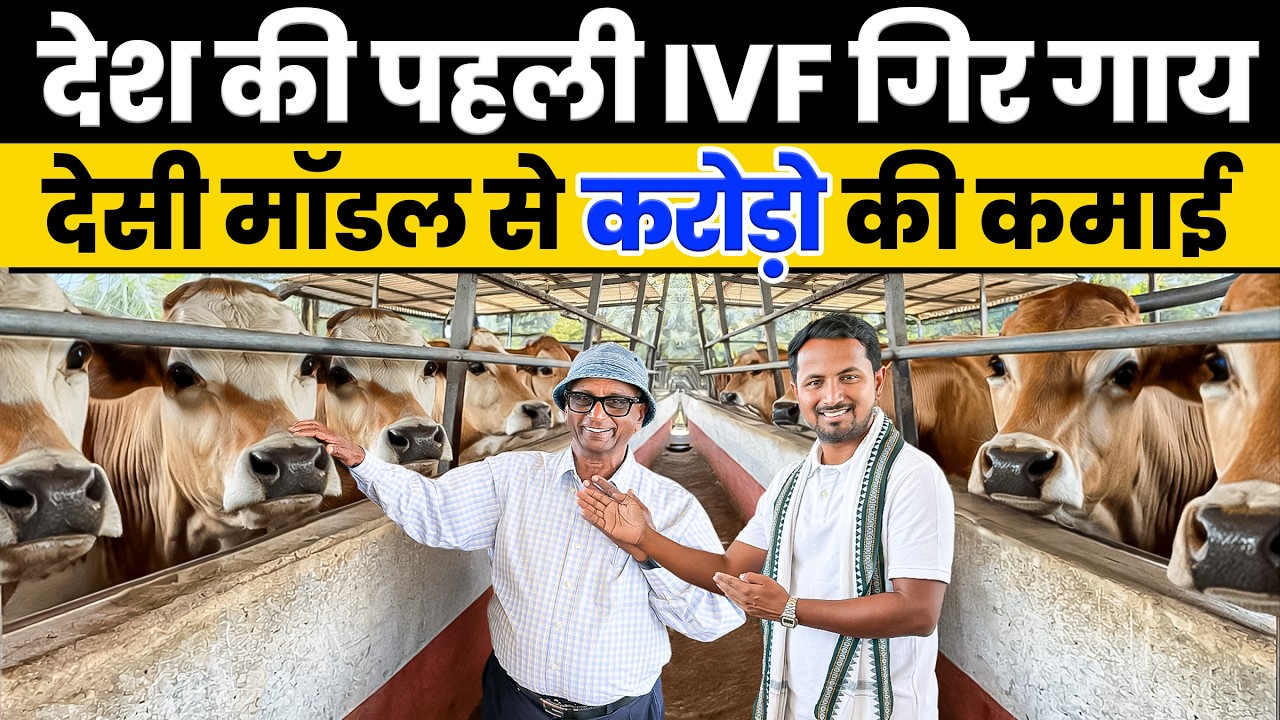 1 गाय से 100 बच्चे हर साल? जानिए IVF टेक्नोलॉजी का कमाल 🐮🤯 Bafna Dairy ...