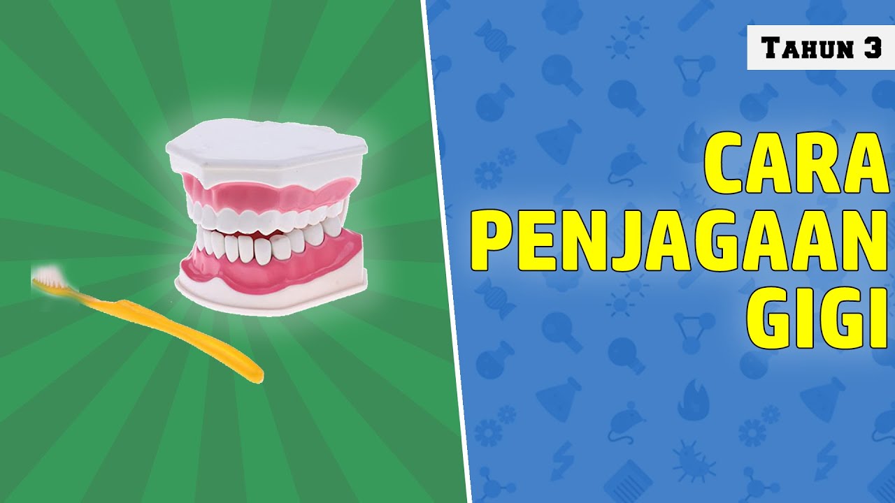 Cara Penjagaan Gigi - YouTube