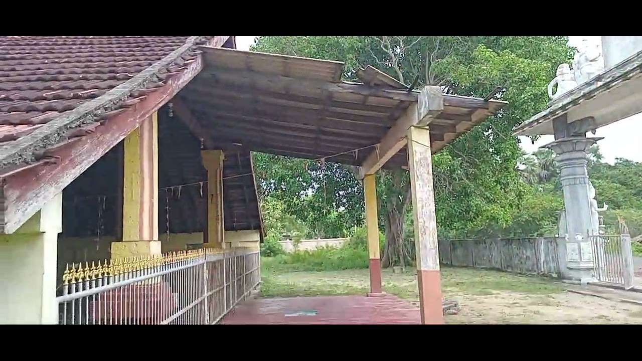 thalam kule murukan kovil karaveddy - YouTube