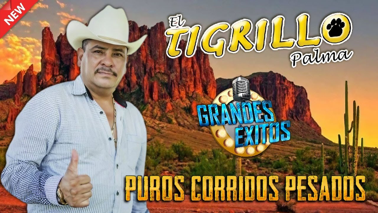 El Tigrillo Palma Mix Para Pistear - Puros Corridos Pesados Mix - 20 ...