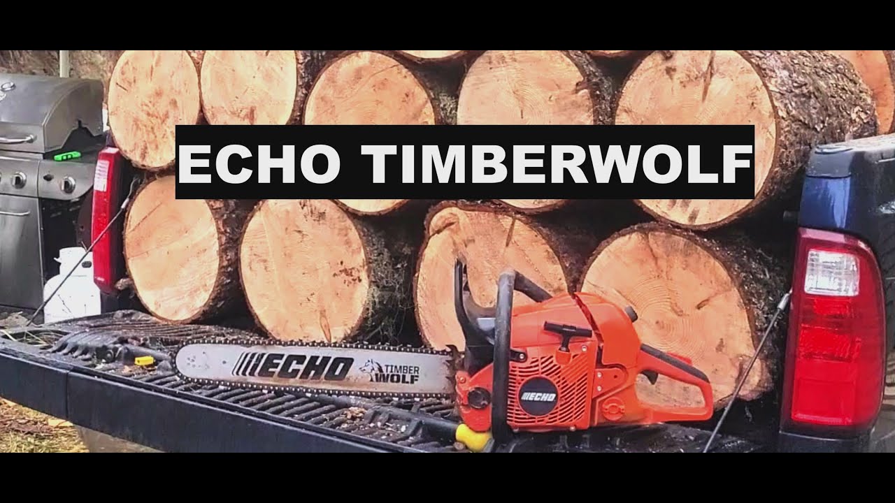 Echo Timberwolf cs 590 Felling Trees - YouTube