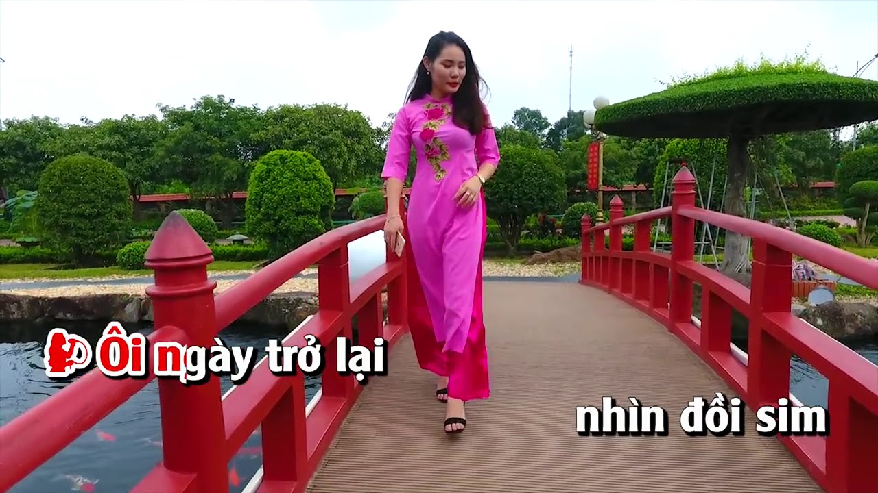 Những Đồi Hoa Sim Karaoke Song Ca Với Thanh Ngân Nhung doi hoa sim ...