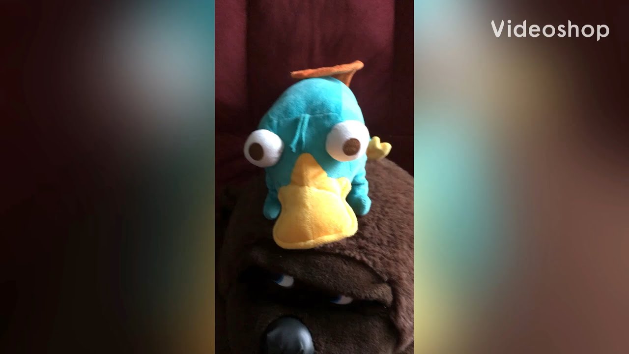 Perry the Platypus (but me singing) - YouTube