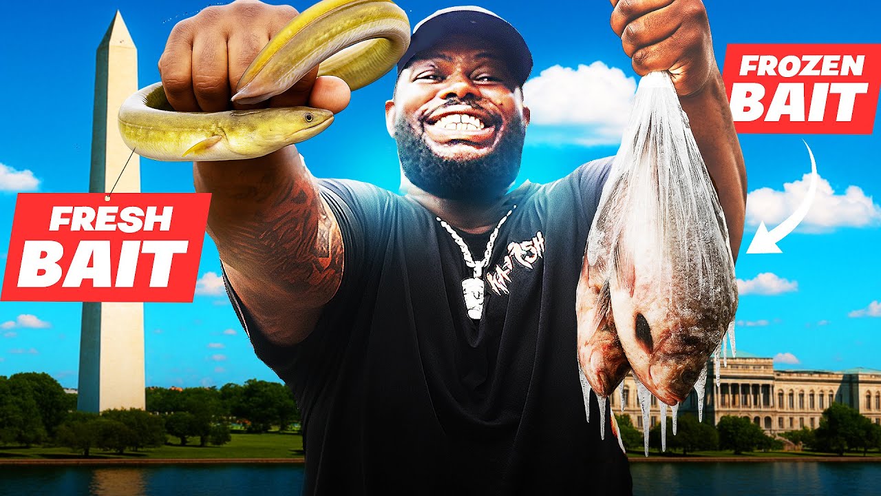 Frozen Bait VS Fresh Bait- Which Works Best? (Bank Fishing) - YouTube
