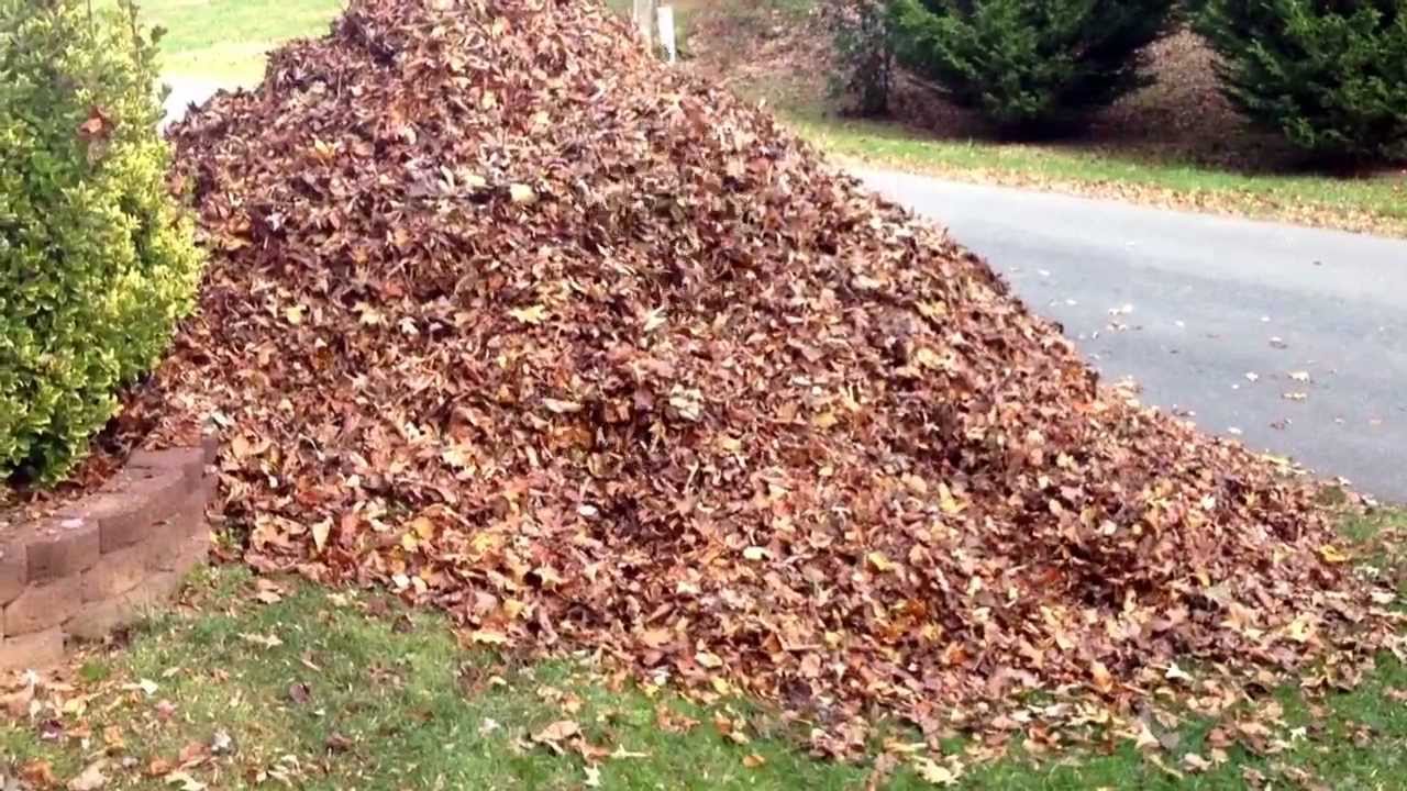 Giant leaf pile and a kid disappears in it - YouTube