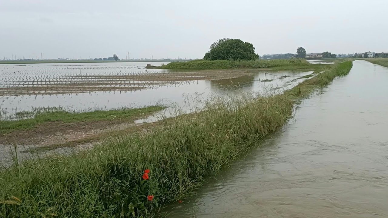Fields near Ravenna left underwater as Italy hit by deadly floods | AFP ...