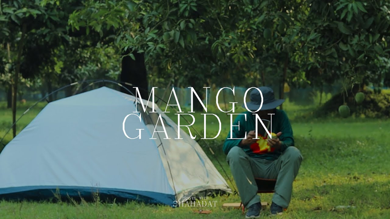 Largest Mango Garden in Bangladesh | TRAVEL WITH SHAHADAT | 4K - YouTube