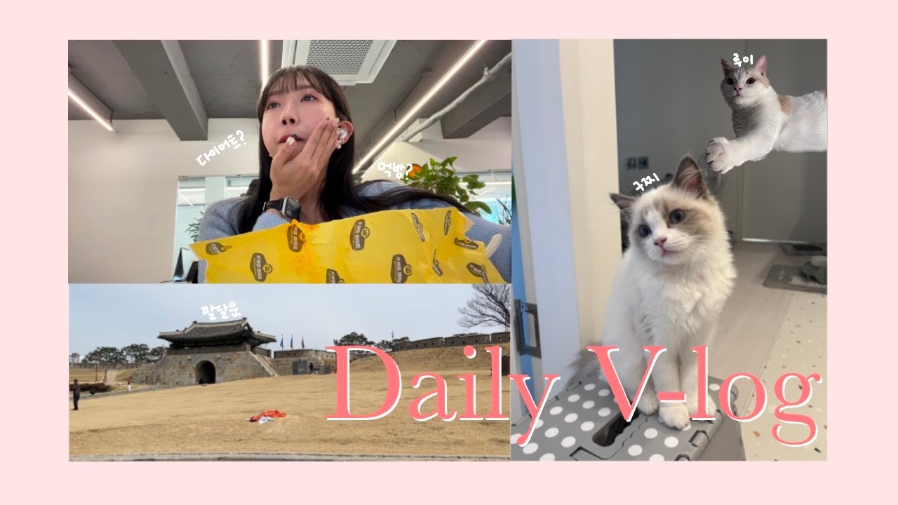 Vlog 직장인 일상브이로그연차에는 뭐하나요고양이들과 힐링타임먹방오랜만에 미용실염색커트코스트코 쇼핑점심시간