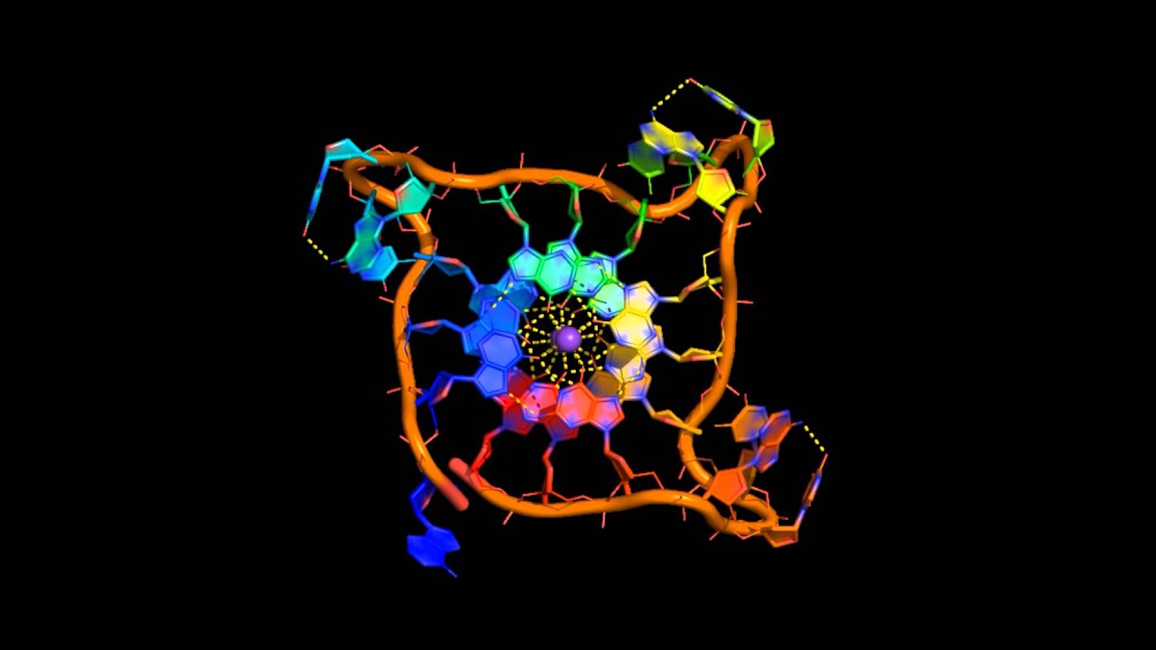 The human telomeric parallel G-quadruplex X-ray structure - YouTube