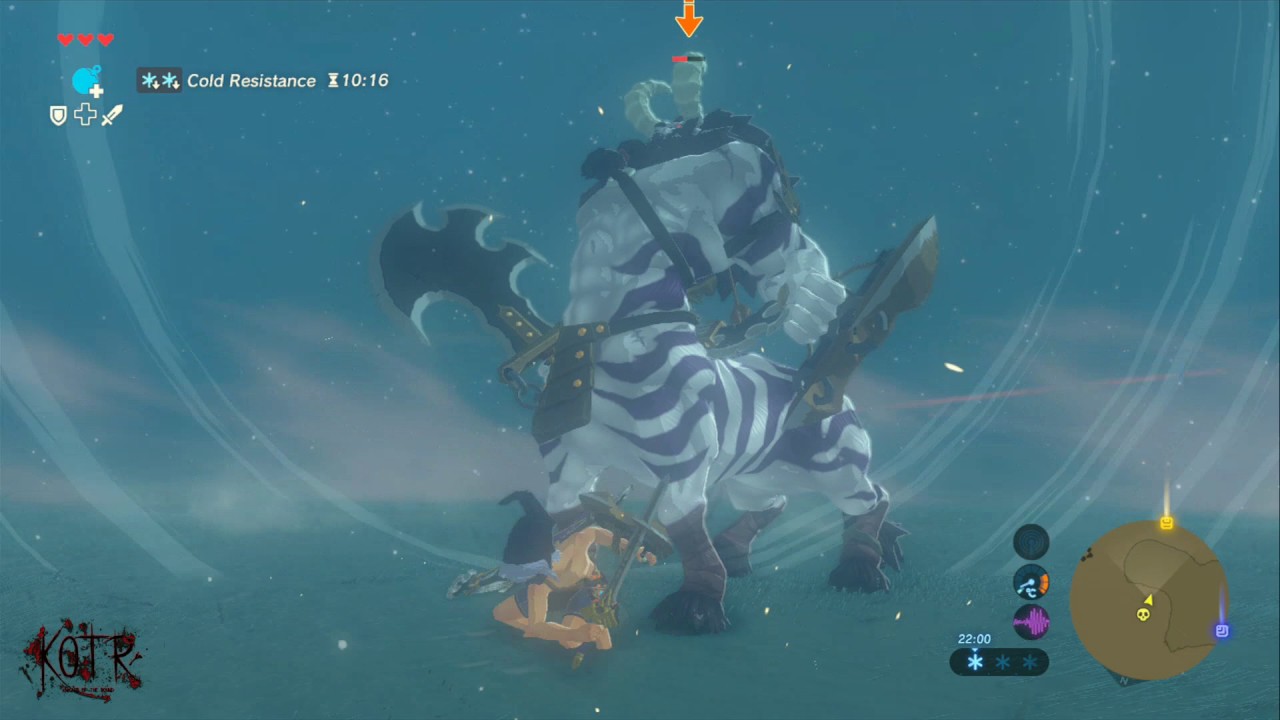 Zelda Breath of The Wild - North Tabantha Snowfield Lynel 1 (sword ...