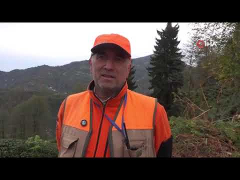 Rize'de ayı için sürek avı başlatıldı