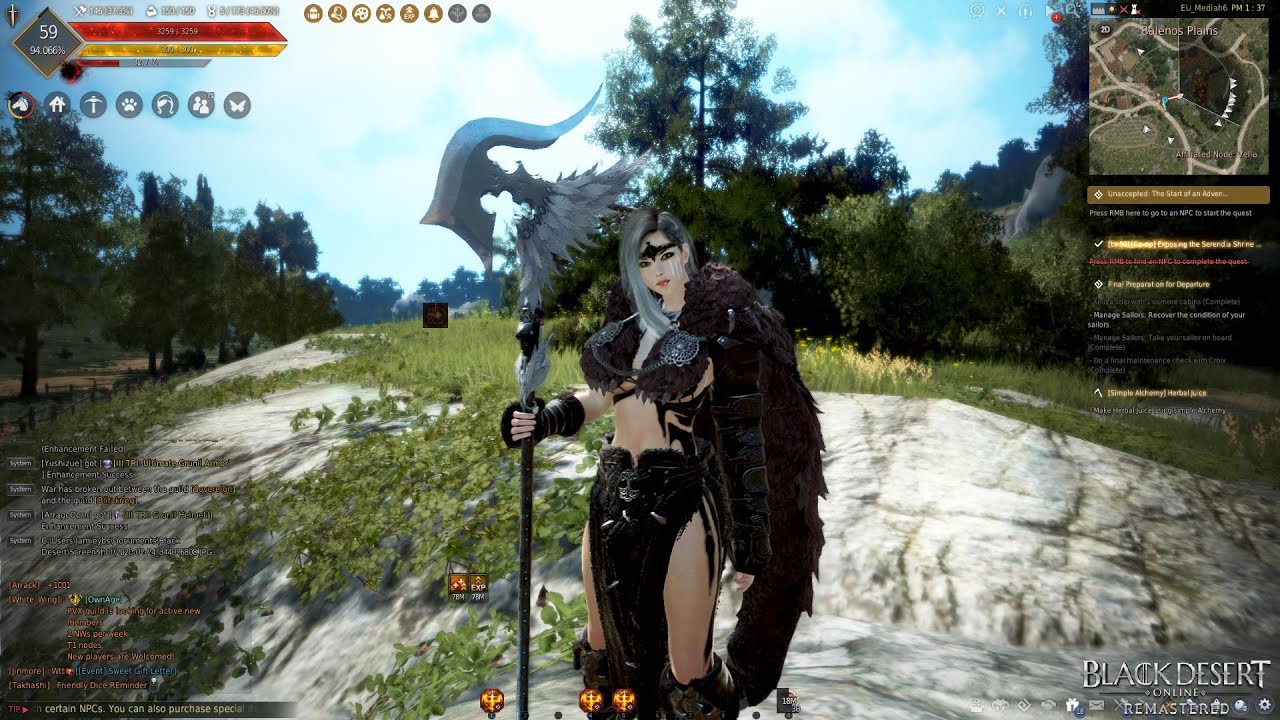 Black Desert Online Guardian Vs Dim Tree Spirit Dark Rift - YouTube